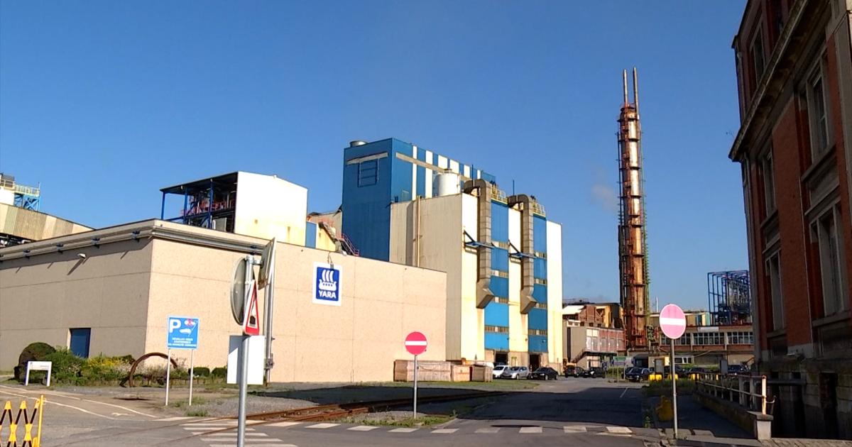 Yara à Tertre : 115 emplois menacés par une restructuration | Tele MB