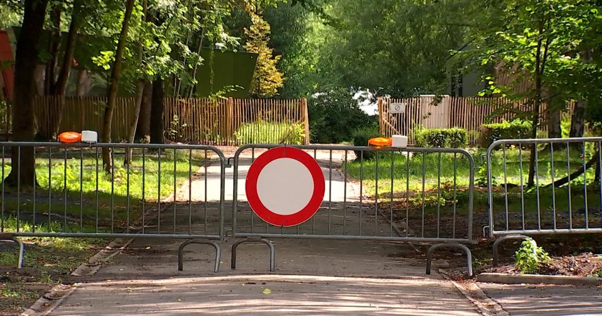 Lera buns xxxx i definitely advise those looking for a