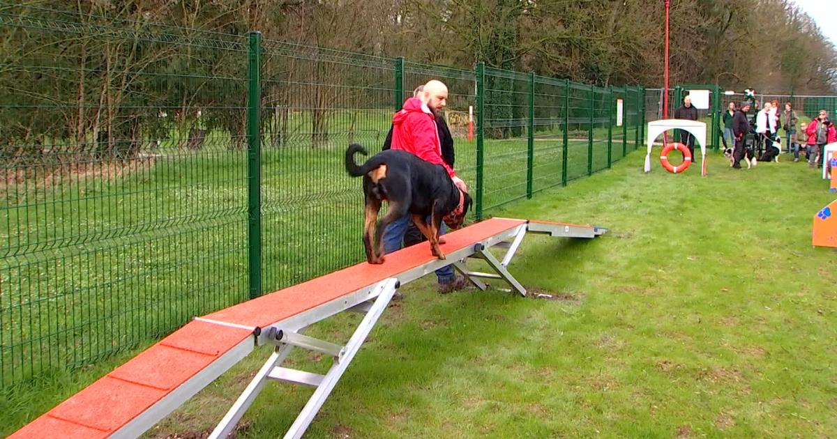Un parc canin à Baudour | Tele MB
