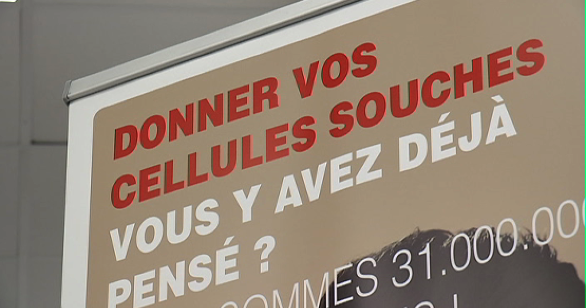 Mons - Le don de plaquettes ou de cellules souches : pourquoi, comment ...