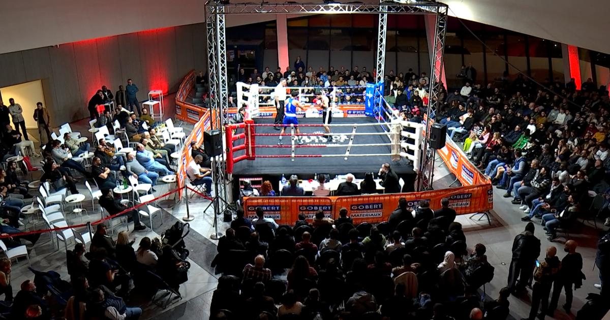 BOXE - Une belle 5e édition de l’Ultimate Boxing à Mons | Tele MB