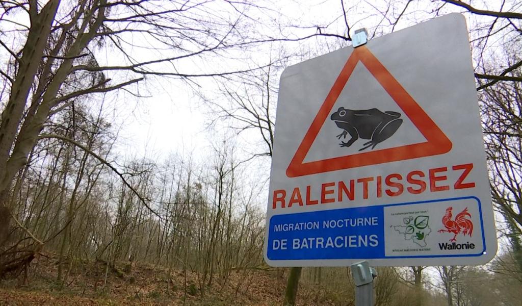 Quartiers d'Histoires: Baudour, au début des années 50 | Tele MB